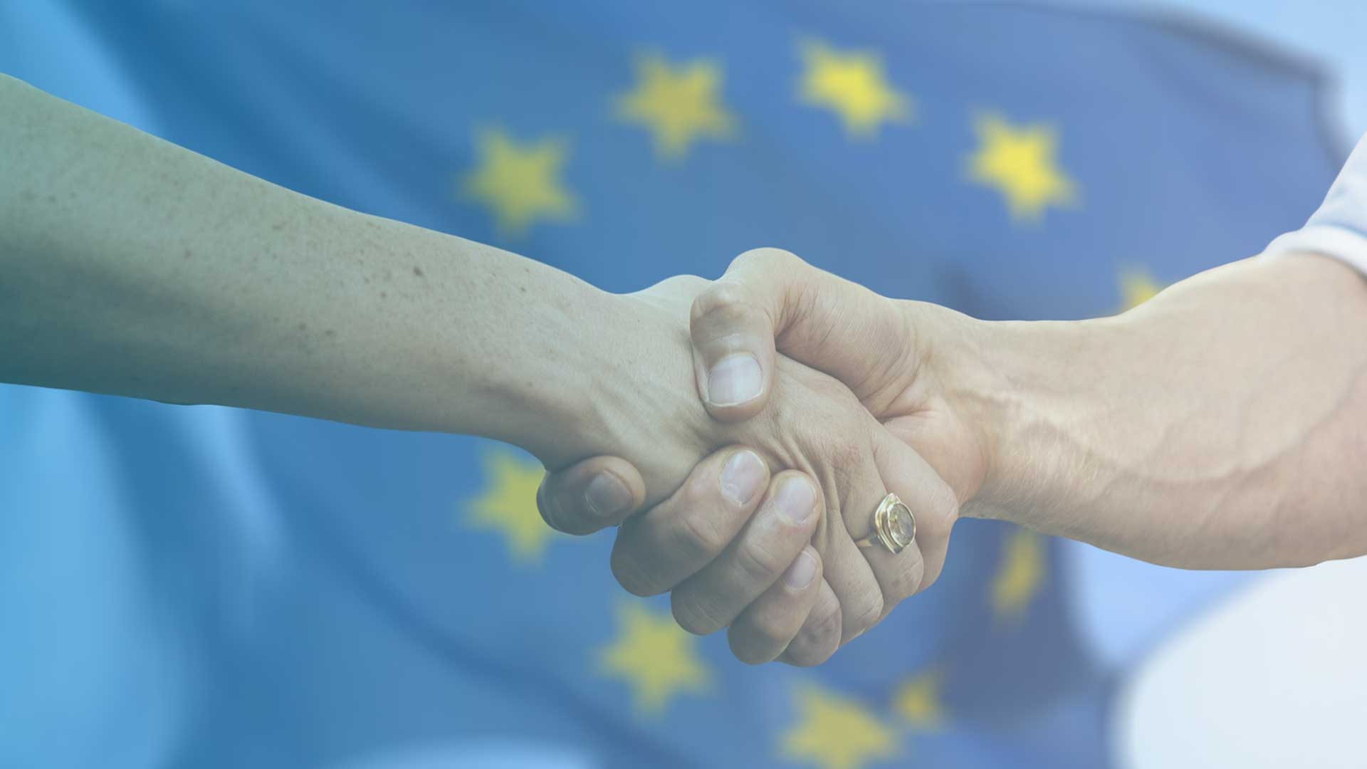 HortiQD Project - Consortium